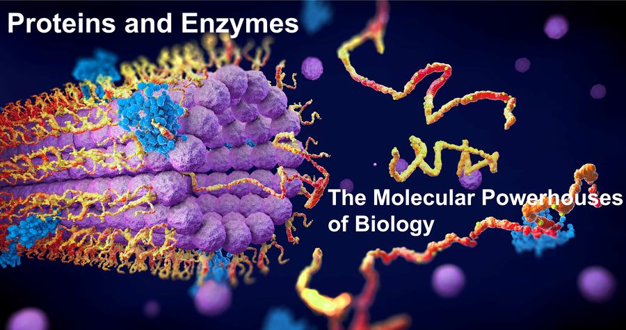 e-learning université Mila : Résultats de la recherche